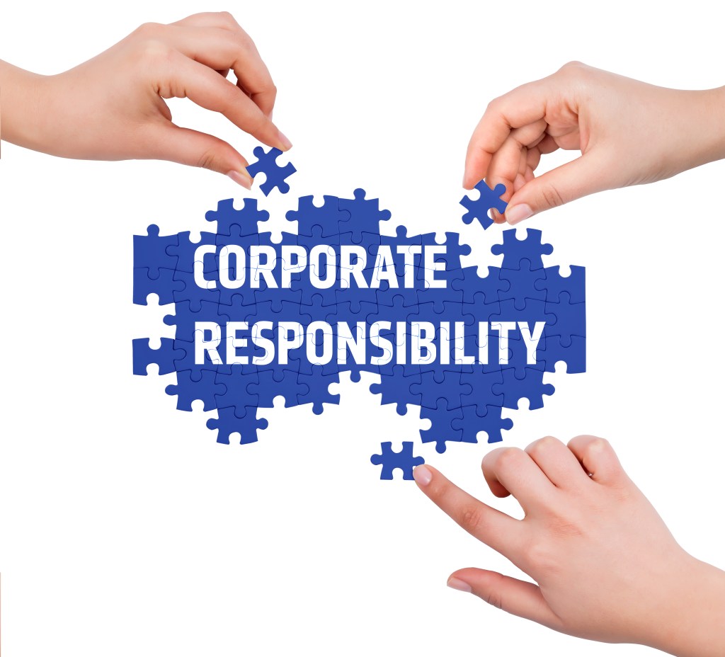 The Chinese CSR Puzzle: How Chinese firms satisfy stakeholder pressure ...