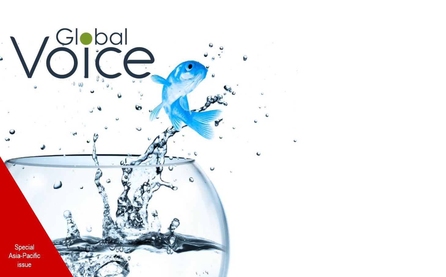 Global Voice magazine special Asia-Pacific issue – Council on Business ...
