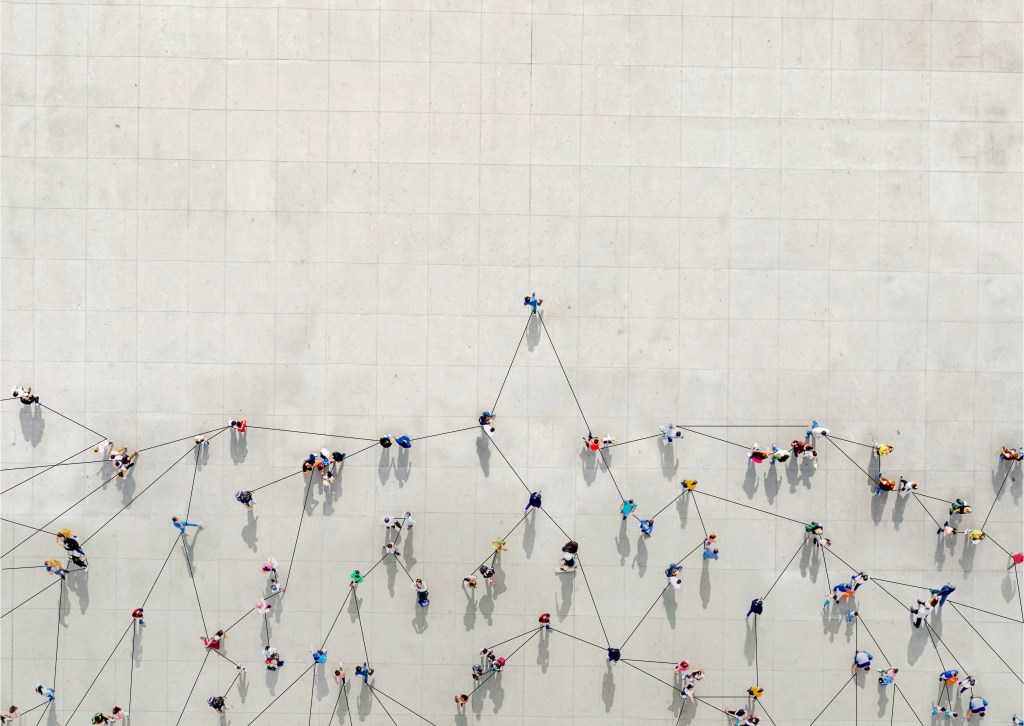 Sensemaking in Times of Crisis – Council on Business & Society Insights